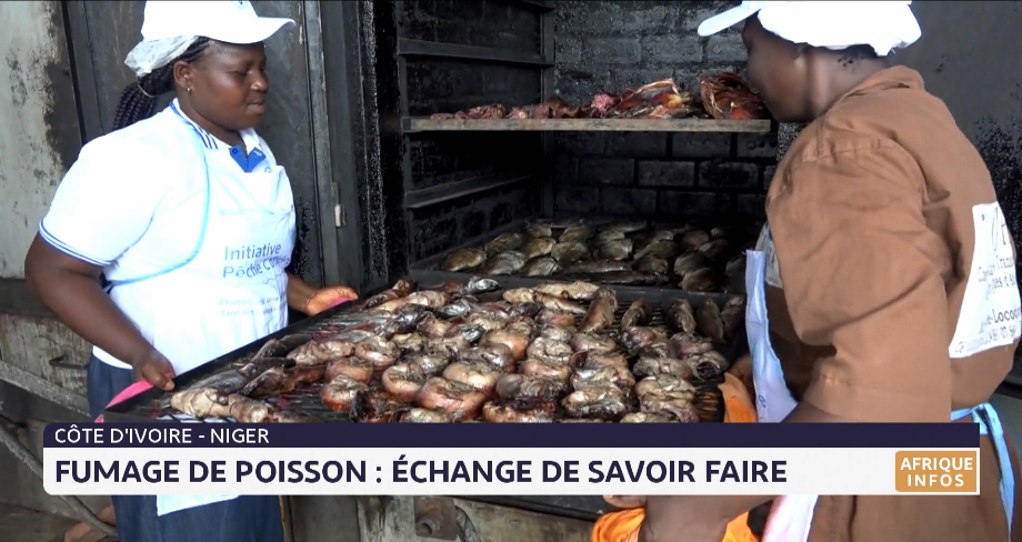 Vidéo : Fumage de poisson: échange de savoir faire entre la Côte d ...