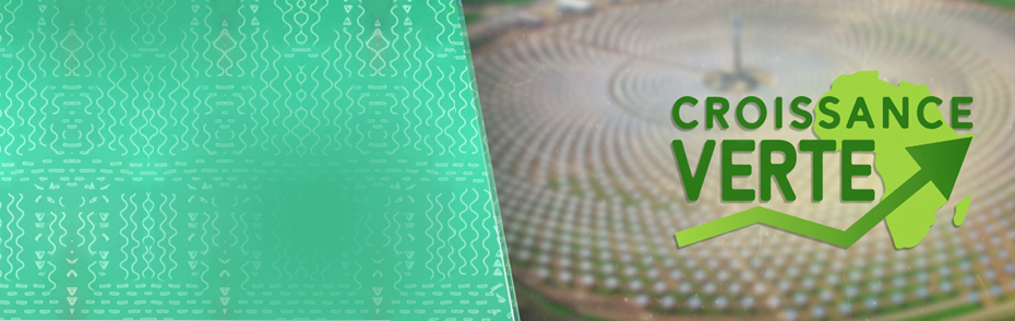CROISSANCE VERTE