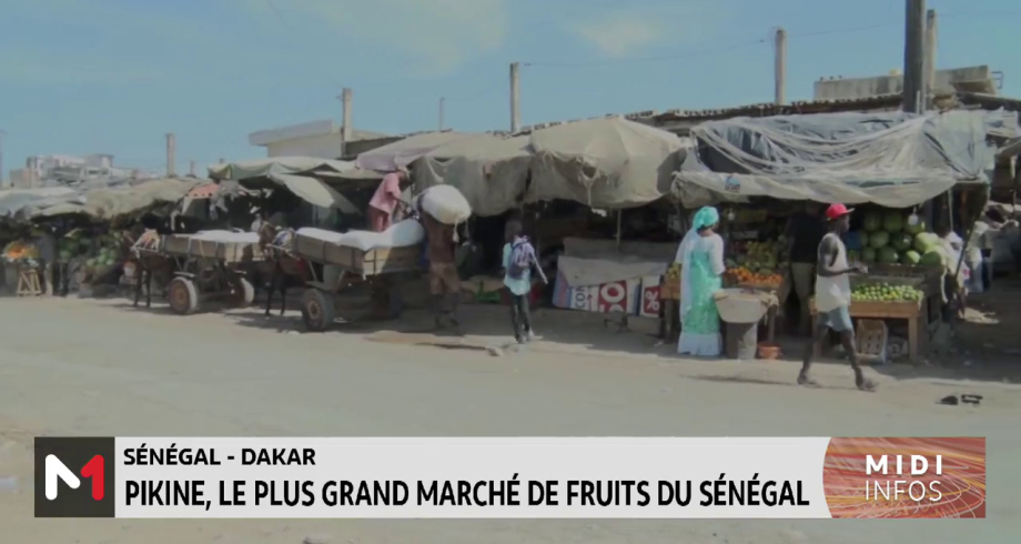 Vidéo : Pikine, le plus grand marché des fruits du Sénégal