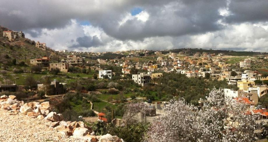 Vidéo : Sud Liban : le village d'Aitaroun détruit